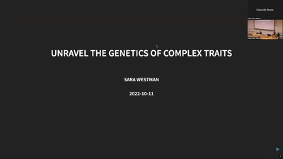 Lunch Pitch: 2022-10-11: Sara Westman and Hugo Harlin - UmU Play